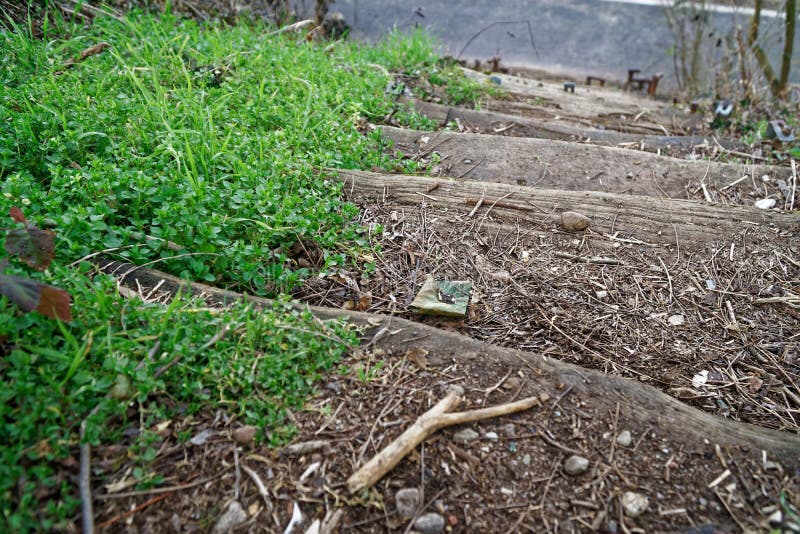 Wooden Steps from Log and Moss, Wooden Stairs Stock Photo - Image of ...