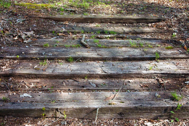 Wooden Steps stock photo. Image of tree, ground, natural - 80486636