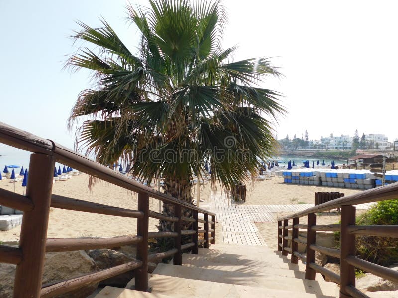 Wooden Steps with Railing To the Beach and Palm Tree, Fig Tree Beach ...