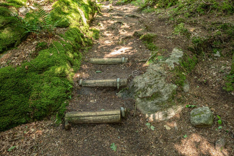 Wooden Steps on a Steep Path through a Forest.. Stock Image - Image of ...