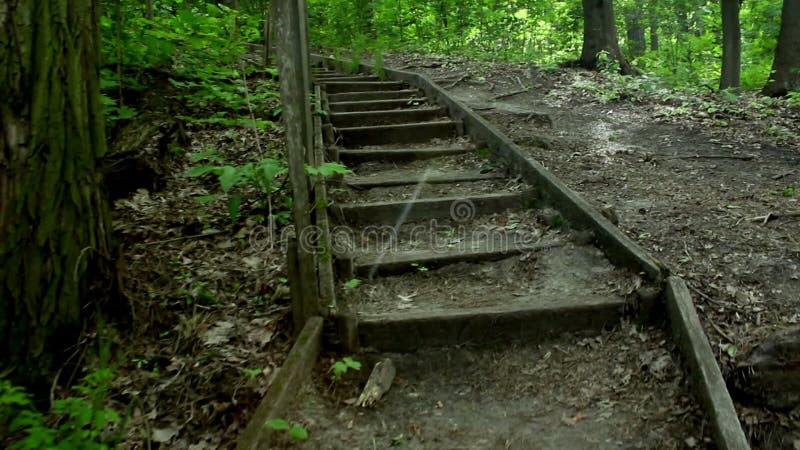 Wooden Steps in a Summer Forest. Steps on a Mountain Road Stock Video ...