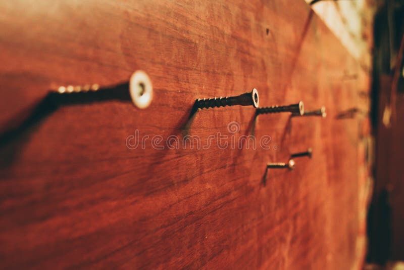Wooden stick with nails stock photo. Image of backdrop - 142321834
