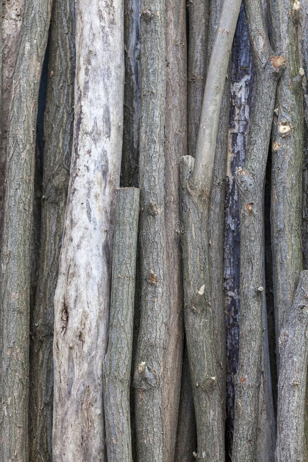 Wooden stick on stack stock photo. Image of pieces, broken - 116535494