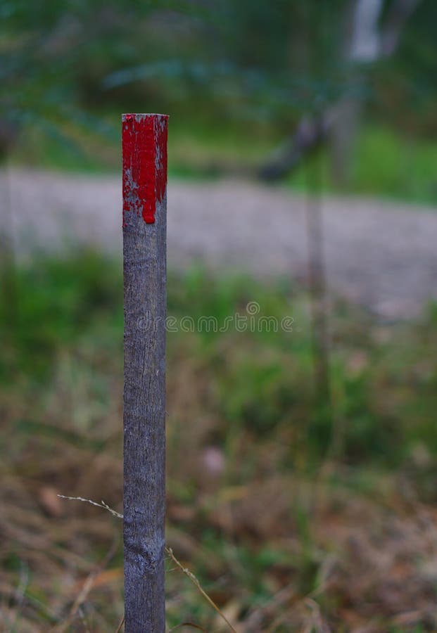 Wooden Stick with Tip Painted in Red Stock Photo - Image of isolated ...