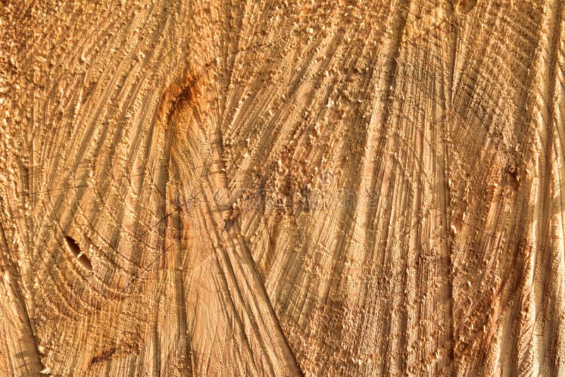 Wooden Structure. Cross Sectional Cut End of Log Showing the Pattern ...