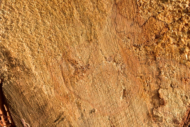 Wooden Structure. Cross Sectional Cut End of Log Showing the Pattern ...