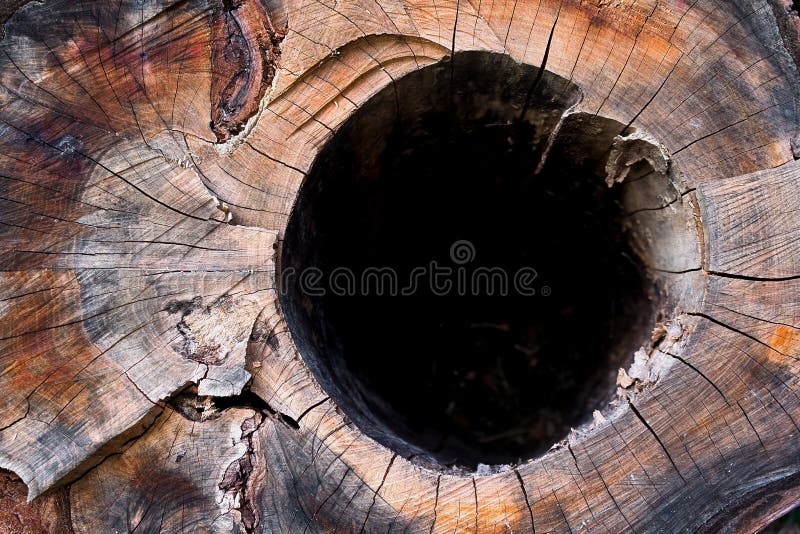 Wooden Stump Detail of Cut with Hole Stock Photo - Image of hole, brown ...