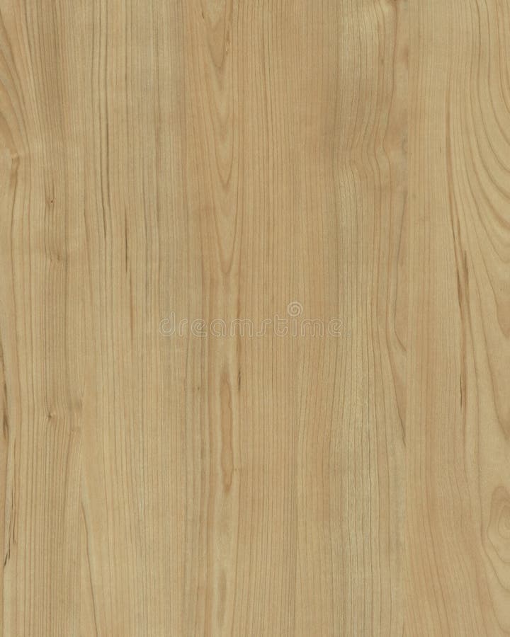 130 Lamber Background Photos - Free & Royalty-Free Stock Photos from ...