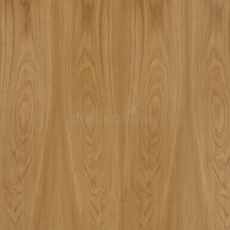 130 Lamber Background Photos - Free & Royalty-Free Stock Photos from ...