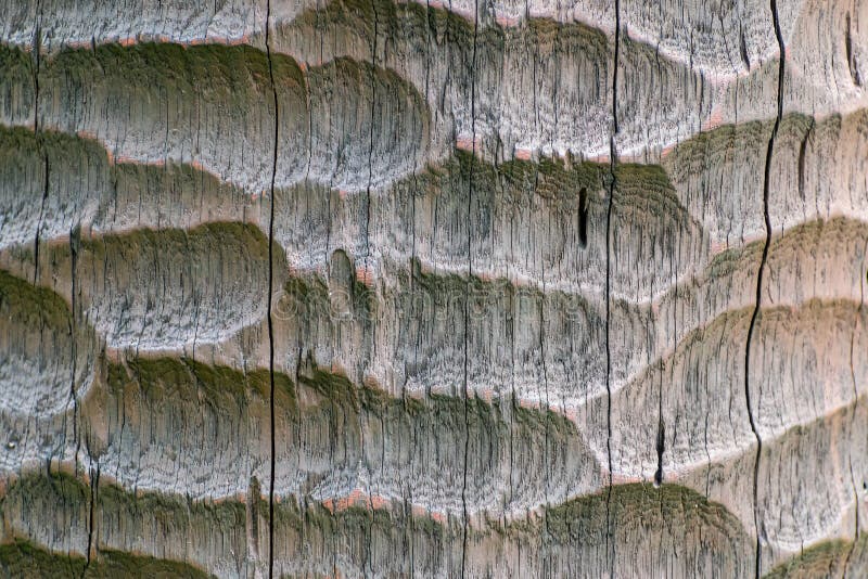 Wooden Surface with Chisel Grooves, Chisel Wood Texture Pattern Stock ...