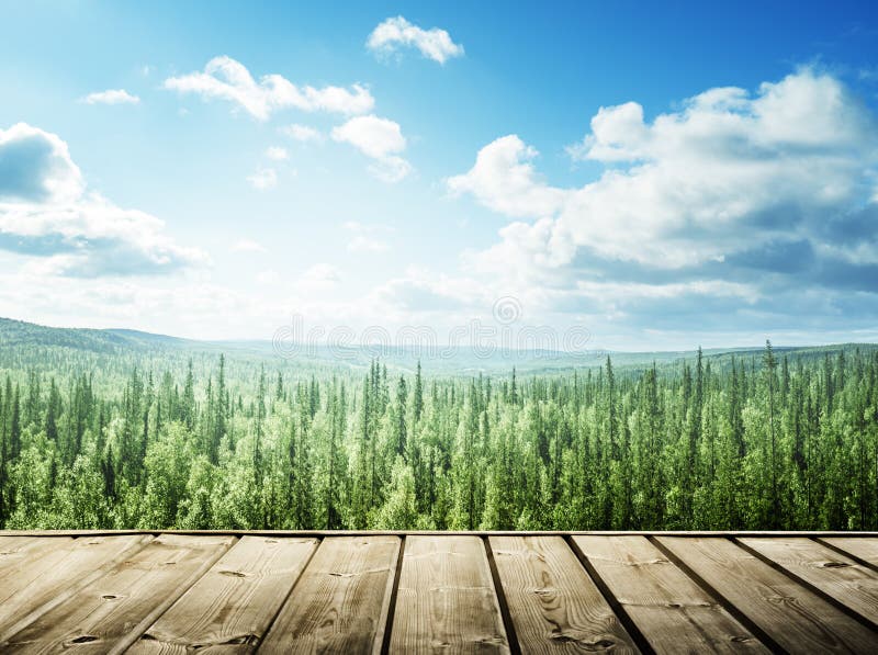 Wooden surface in forest stock image. Image of sunlight - 58665817