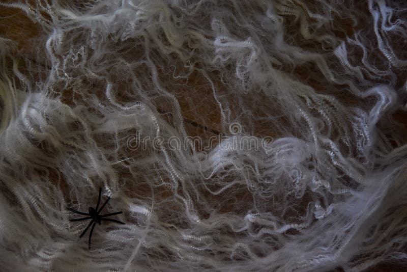 On a Wooden Surface a Spider Web with a Black Spider. Place for Text ...