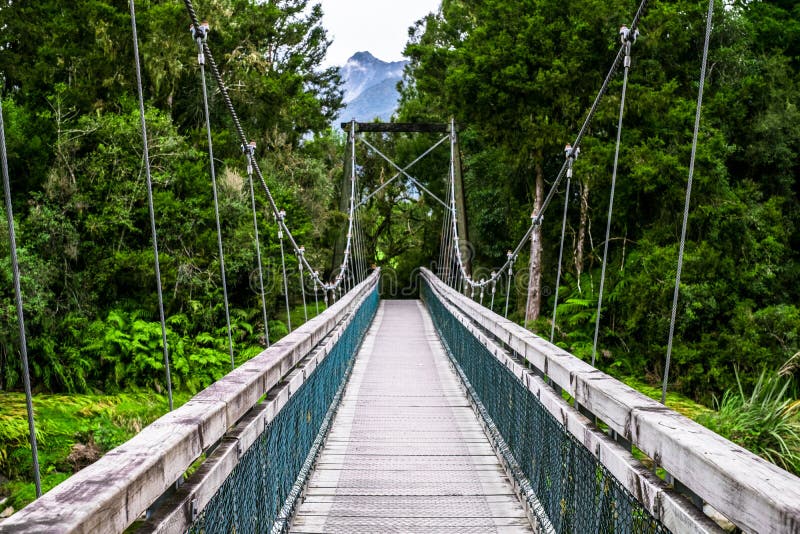 The Wooden Swing Bridge in the Green Nature Stock Photo - Image of ...