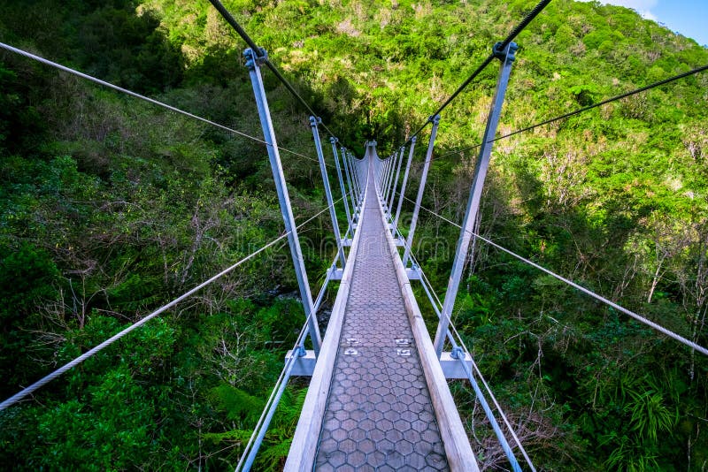 The Wooden Swing Bridge in the Green Nature Stock Photo - Image of ...