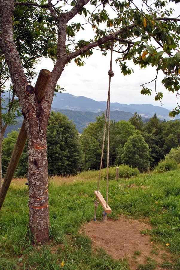 Wooden Swing - Black Forest Stock Photo - Image of hand, forest: 57067998