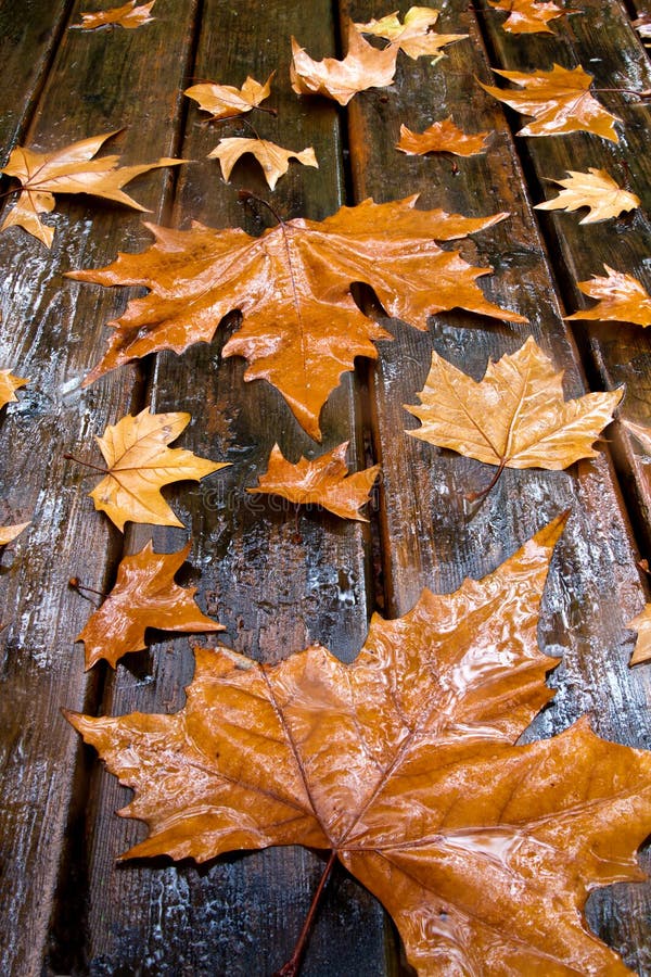Wooden Table with Autumn Leaves Stock Image - Image of scattered, woods ...