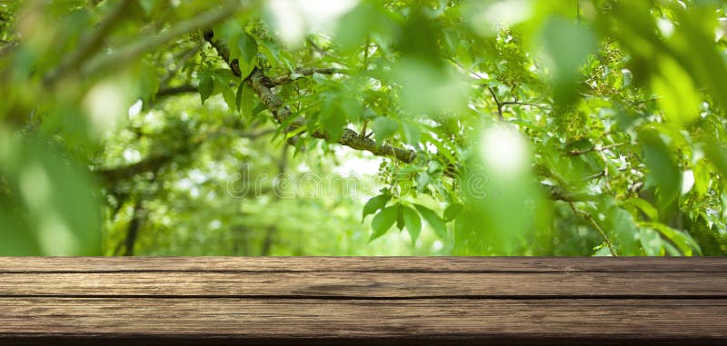 Wooden table banner stock photo. Image of organic, garden - 264146966