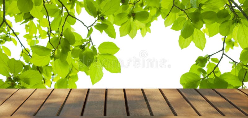 Wooden table banner stock image. Image of field, morning - 264146993