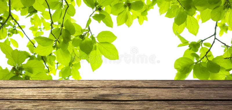 Wooden table banner stock photo. Image of yellow, scenery - 264147100