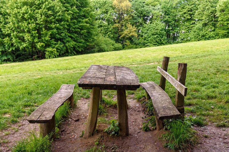 Wooden Table and Bench in the Beautiful Park Stock Image - Image of ...
