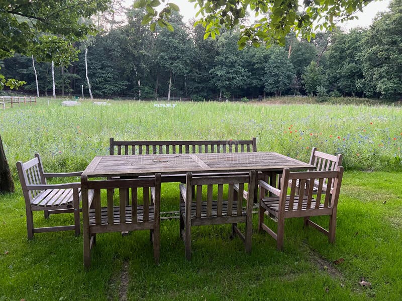 Wooden Table with Bench and Chairs in Garden. Landscape Design Stock ...