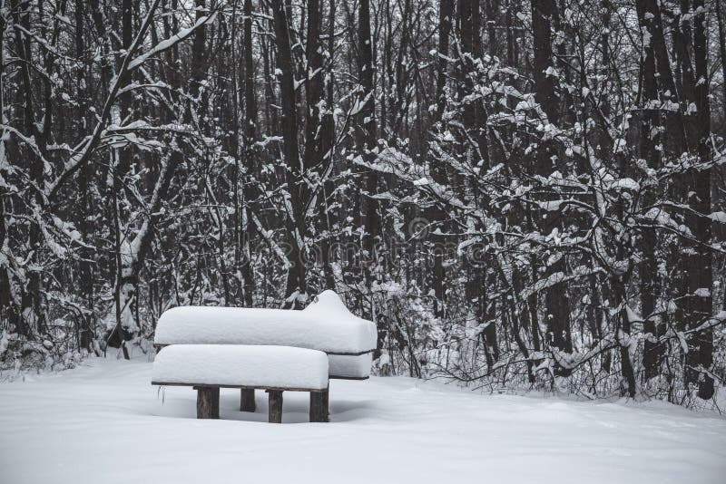 Wooden Table and Bench Covered with Snow in the Park in Winter. Stock ...