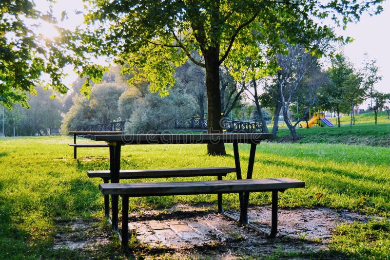 The Bench that is Inside the Park. Stock Image - Image of inside, bench ...