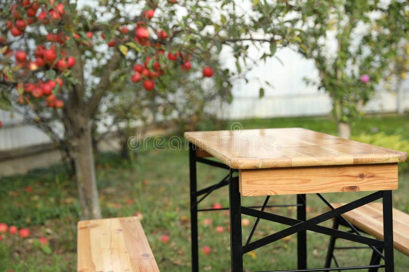 Wooden Table with Benches in Apple Garden Stock Image - Image of garden ...