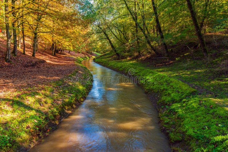 Wooden Table and Benches in the Forest Near the Small River Stock Photo ...