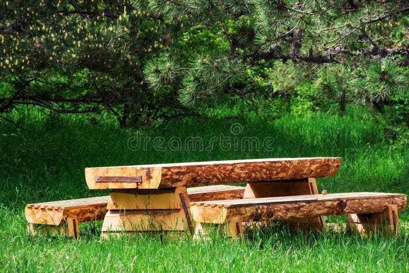 Wooden Table with Benches in a Pine Forest Stock Photo - Image of ...