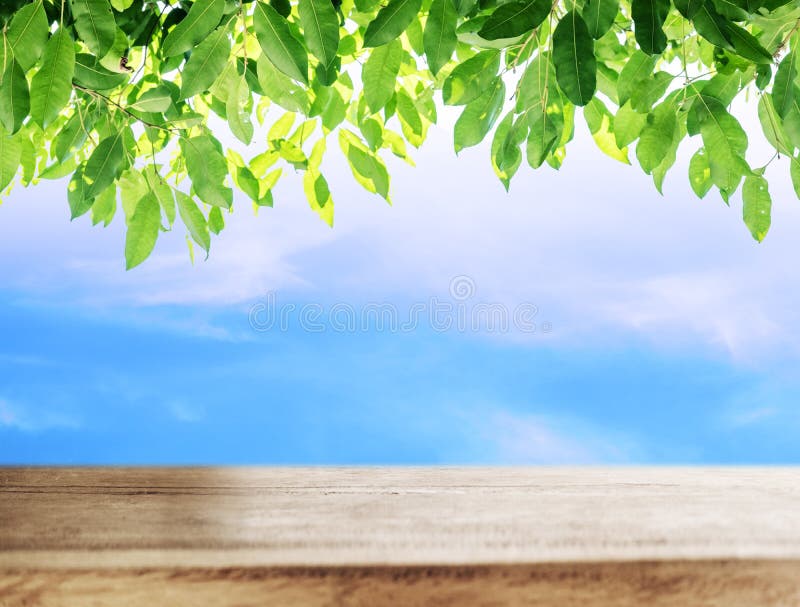 Wooden Table with Blue Sky and Green Leaves Background Stock Photo ...