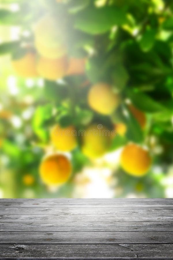 Wooden Table and Blur Orange Garden Background. Stock Image - Image of ...