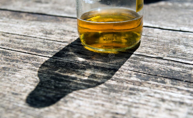 Bottom of Alcoholic Bottle Under the Sun Stock Photo - Image of cellar ...