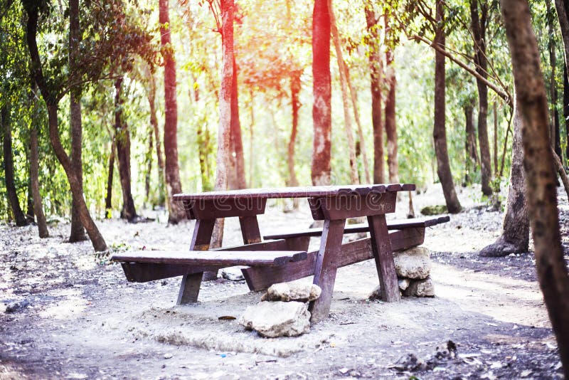 Wooden Table in the Forest. Stock Image - Image of beautiful, abstract ...