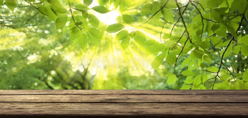 Wooden table banner stock photo. Image of meadow, park - 264131232