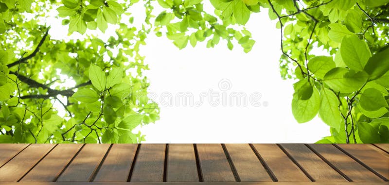 Wooden table banner stock image. Image of tree, meadow - 264147023