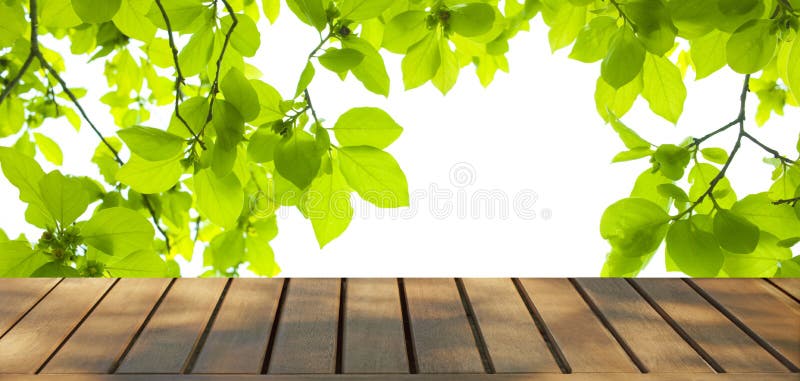 Wooden table banner stock image. Image of field, meadow - 264147107
