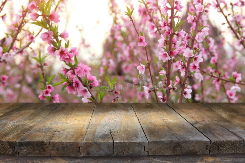 Wooden Table in Front of Spring Blossom Tree Landscape. Product Display ...