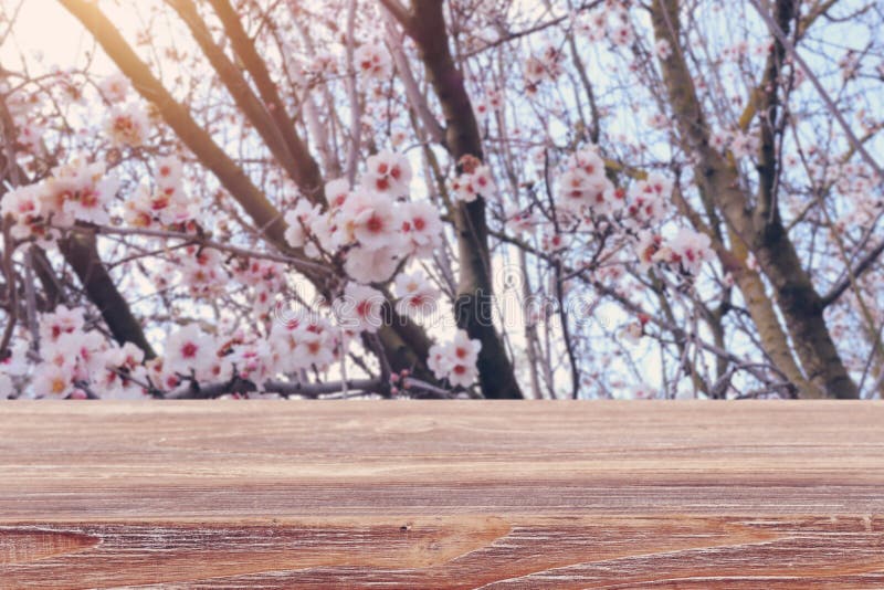 Wooden Table in Front of Spring Blossom Tree Landscape. Product Display ...