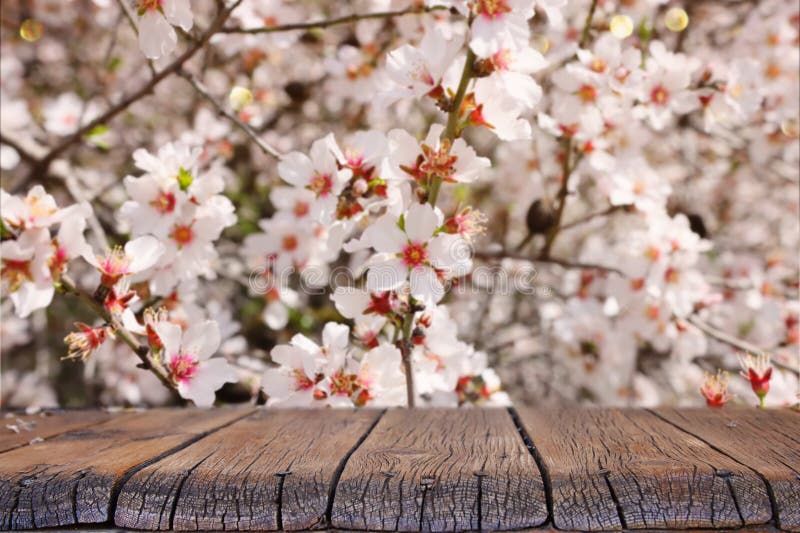 Wooden Table in Front of Spring Blossom Tree Landscape. Product Display ...