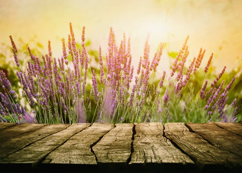 Lavender on Wood Background Stock Photo - Image of health, objects ...