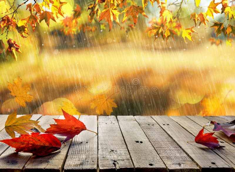 Wooden Table with Orange Leaves Autumn Background Stock Photo - Image ...