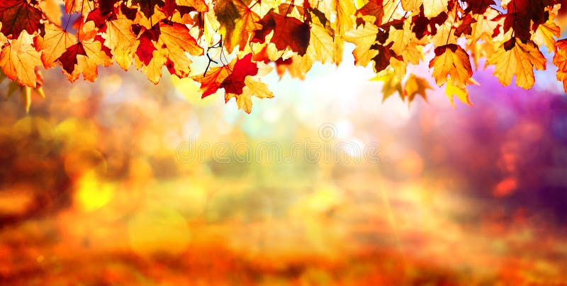 Orange Fall Leaves, Autumn Natural Background Stock Photo - Image of ...