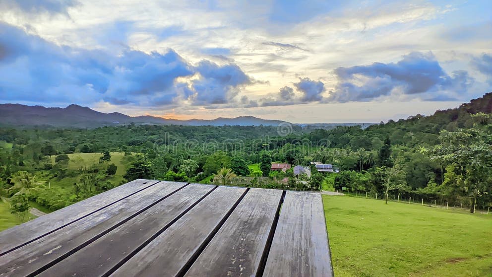 Wooden Table on a Place of Green Grass Stock Photo - Image of grass ...