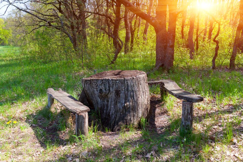 Wooden Table and Seats in Forest Stock Photo - Image of picnic, lawn ...