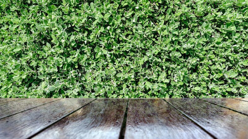 Wooden table texture. stock image. Image of beautiful - 65910015