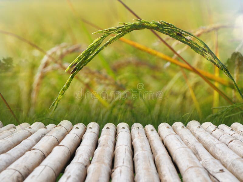 Wooden Table Top with Nature Fallen Rice Stock Photo - Image of ...