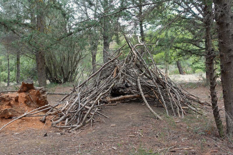 Wooden Tent Structure Made from Tree Branches in the Woods Stock Photo ...