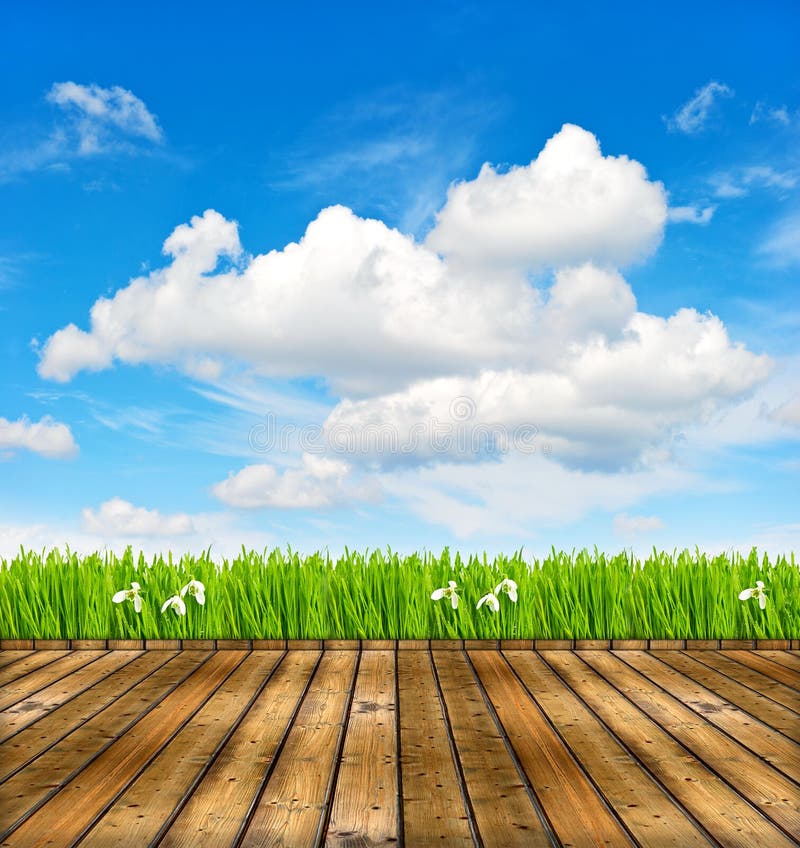 Wooden Terrace with Green Grass and Blue Sky Stock Photo - Image of ...
