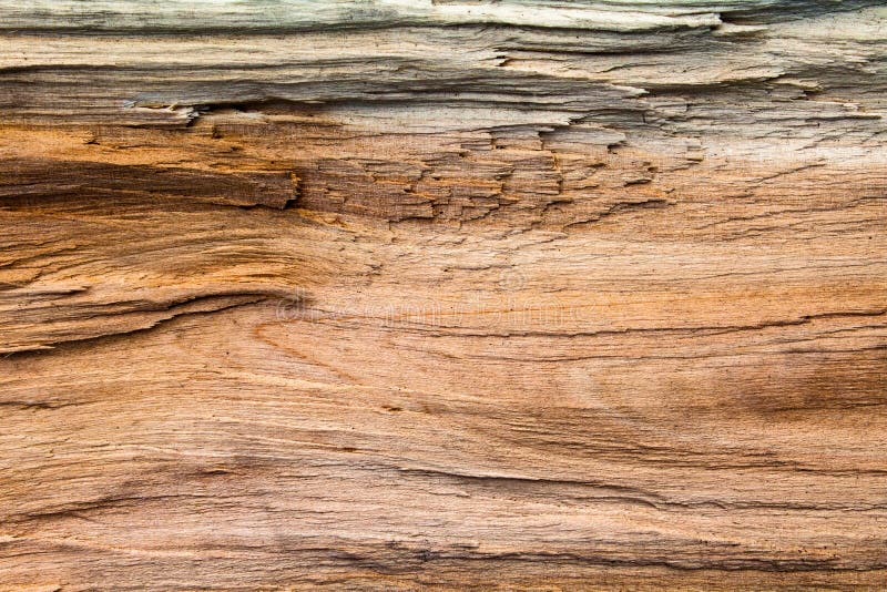 376 Longitudinal Wooden Pattern Wood Texture Stock Photos - Free ...